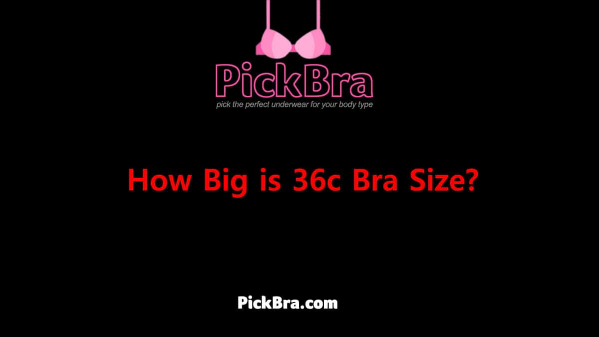 How Big Is 36c Bra Size A Specific Best Answer In 2021